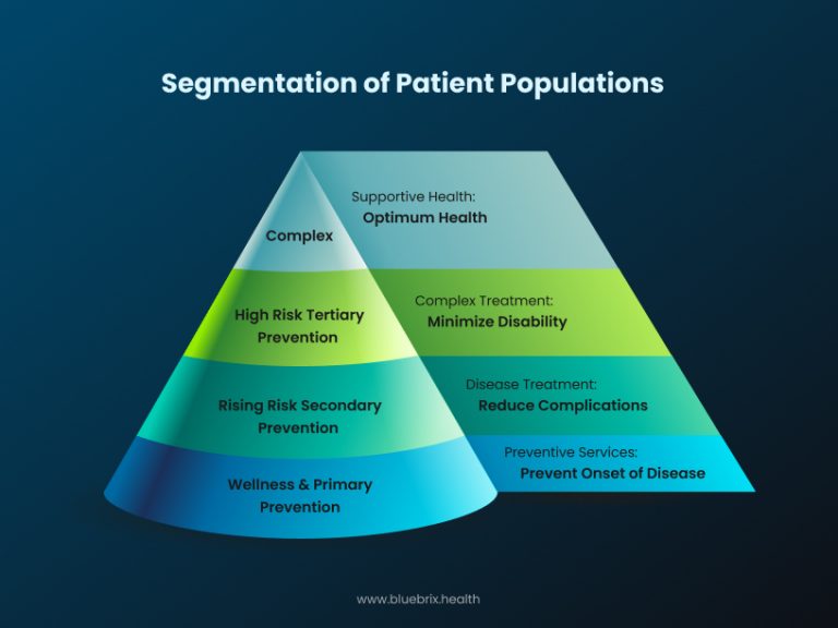 How to address Risk Stratification for Value-based Care? - blueBriX