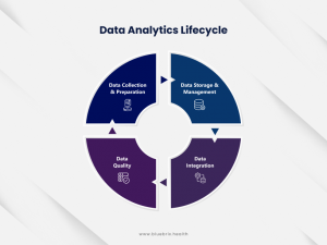 Healthcare Data Analytics - blueBriX
