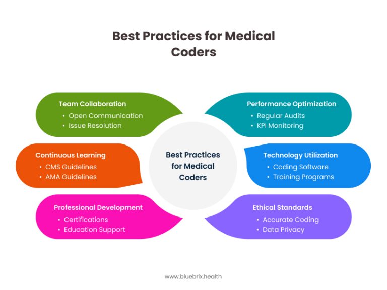 The Ultimate Guide to Medical Coding - blueBriX