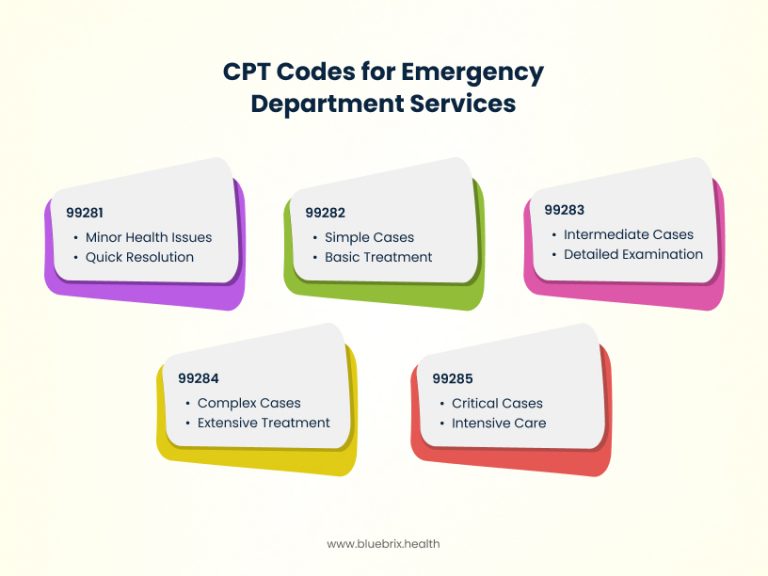 The Ultimate Guide to Medical Coding - blueBriX